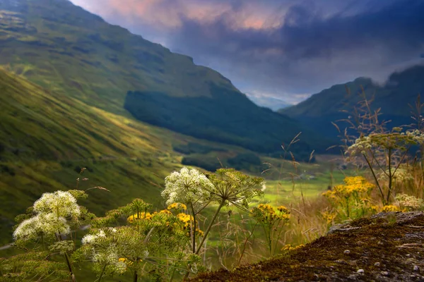 Argyll forest park Stock Photos, Royalty Free Argyll forest park Images ... Argyll forest park Stock Photos, Royalty Free Argyll forest park Images ...