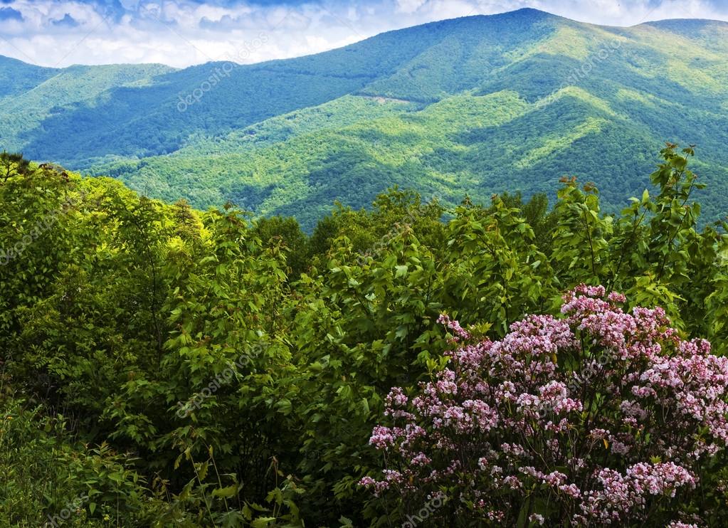 Appalachian Mountains Spring