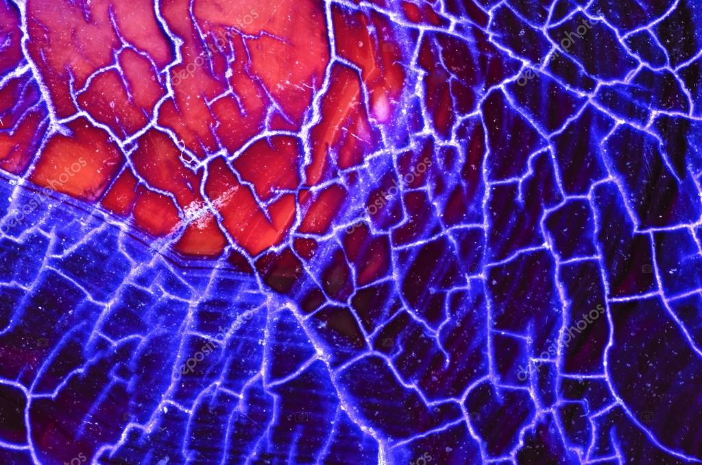 Blue Red Dragon Vein Pattern Stock Photo by ©maury75 58215903