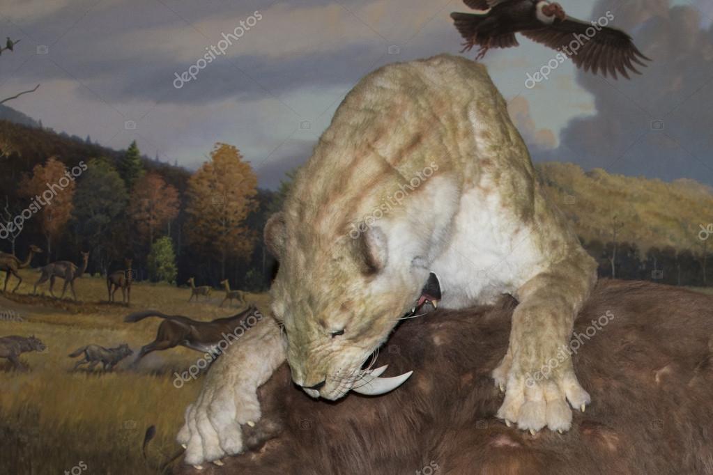 Saber teeth tiger — Stock Photo © izanbar #52560733