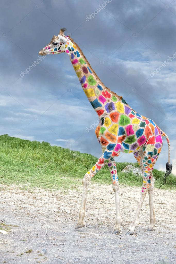 Colorful Giraffe Background