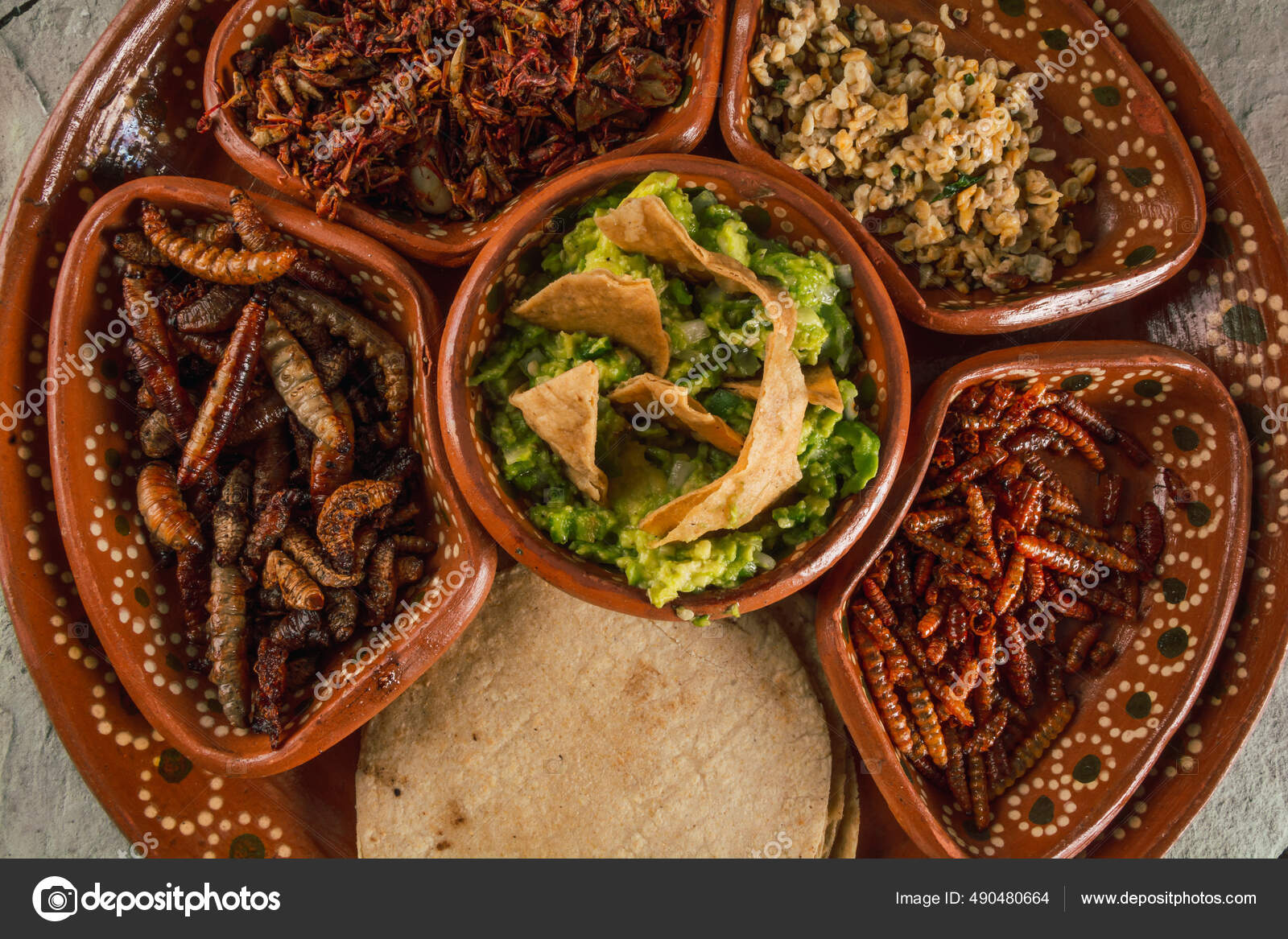 Plate Multiple Edible Insects Traditional Mexican Food Dishes Escamoles ...