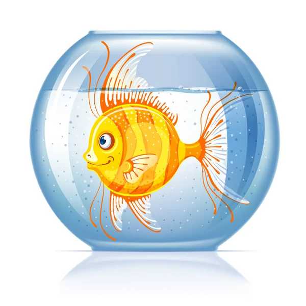 Round fish bowl Vector Art Stock Images | Depositphotos