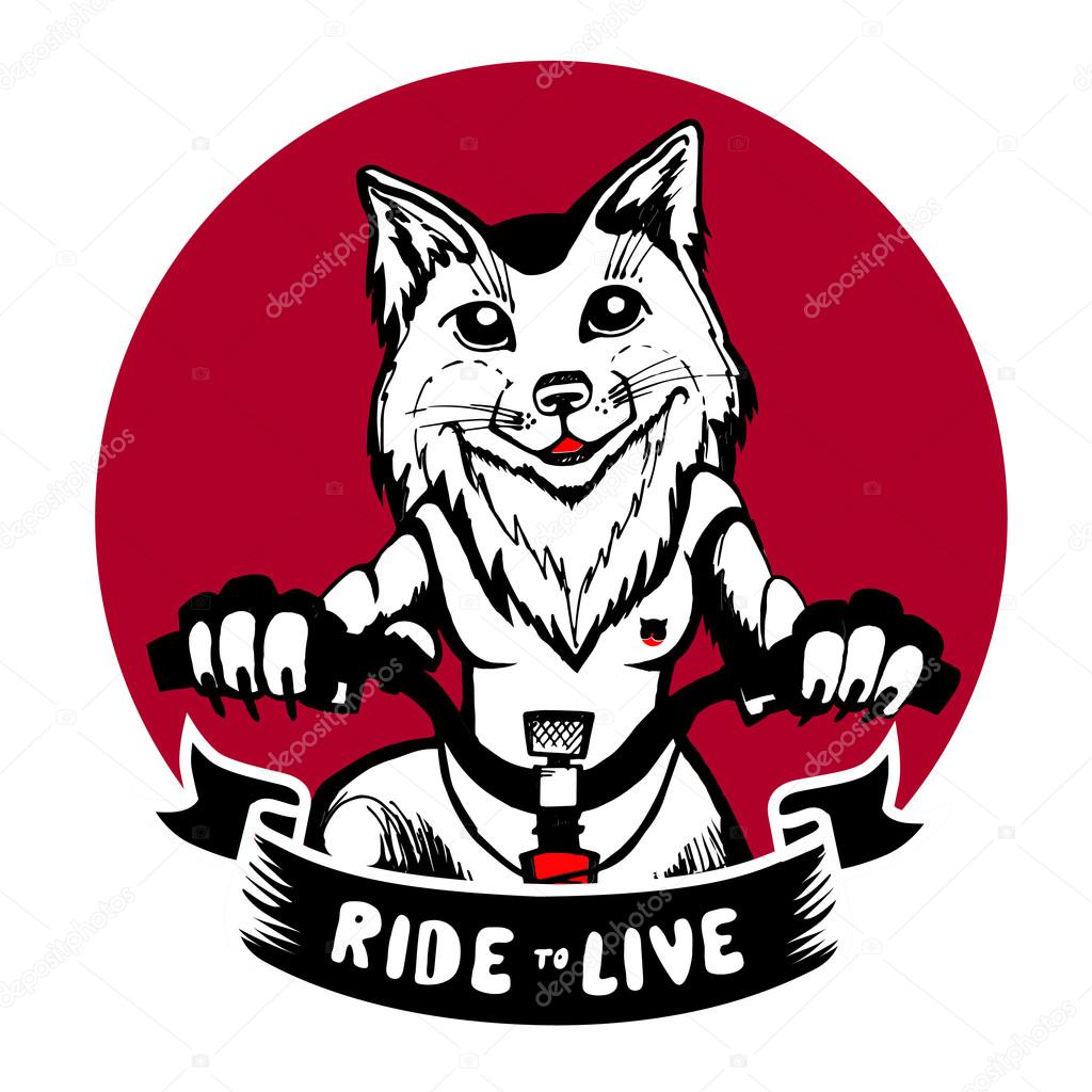 Pleased fox riding a bicycle Stock Vector Image by ©AlionaLuk #91060940