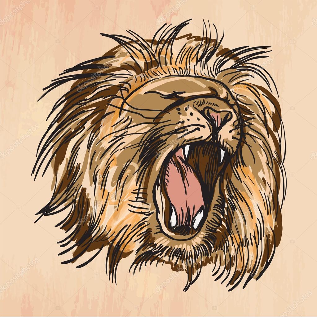 Lion - An hand drawn vector Stock Vector Image by ©kuco #114677704