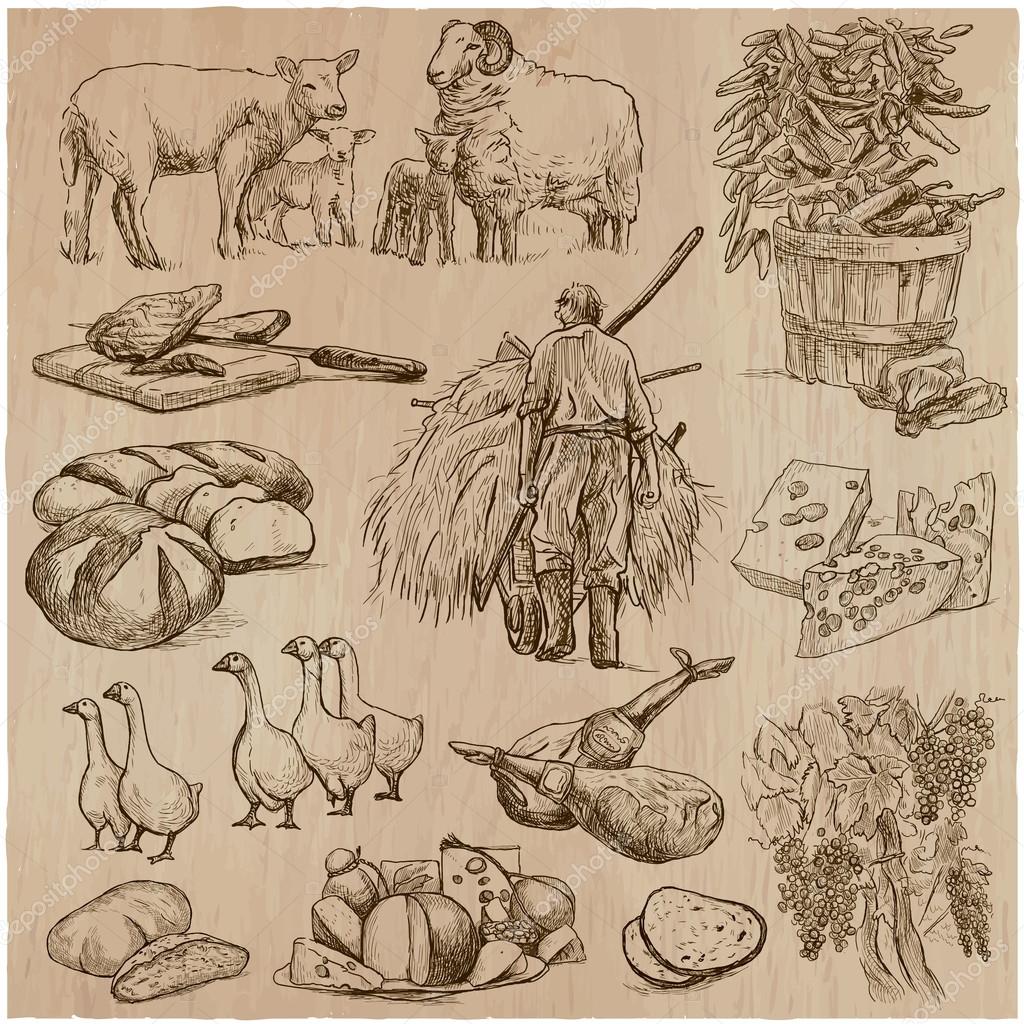 Life on the farm. Farming. Hand drawn vector pack. Stock Vector by ...