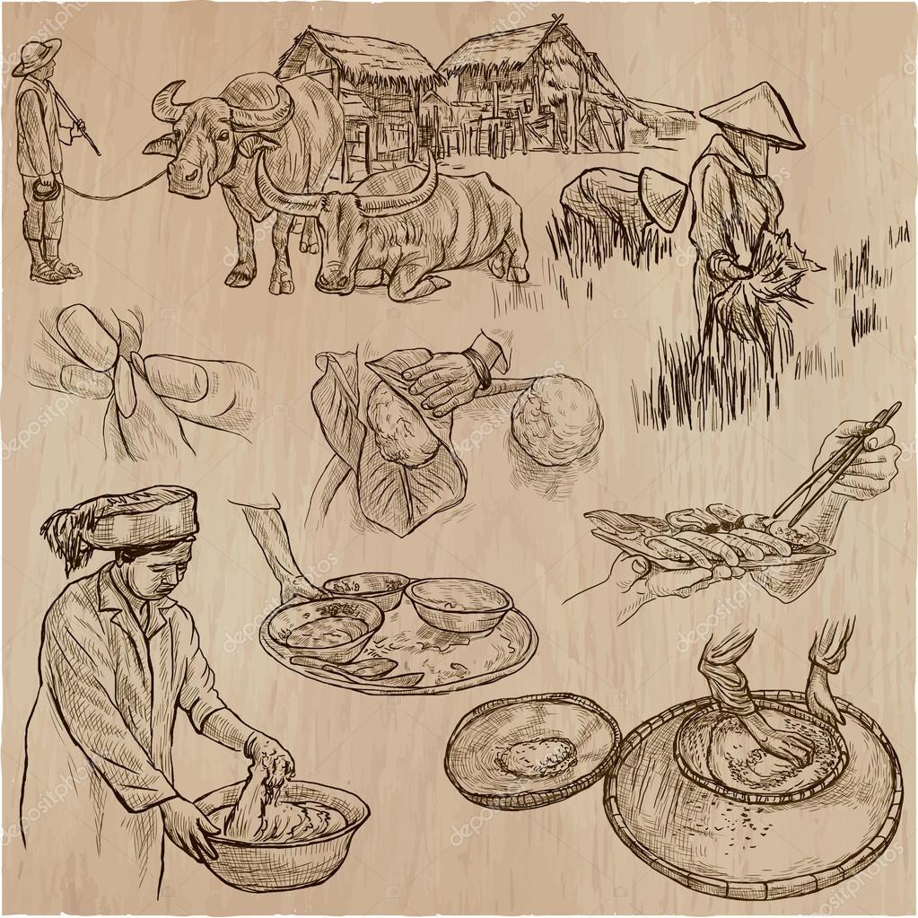 Rice Farm Drawing