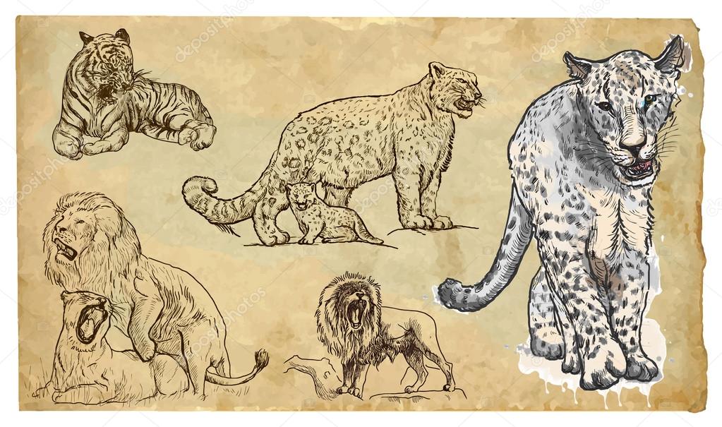 Animals, theme: BIG CATS - hand drawn vector pack Stock Vector Image by ...