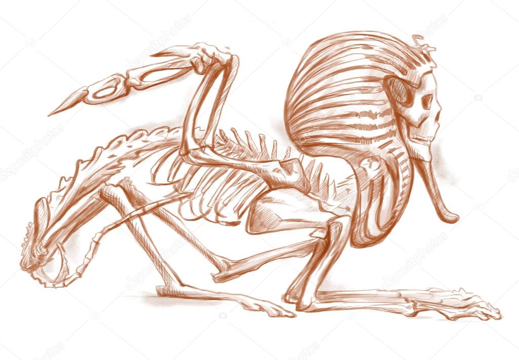 Legendary animals and monsters: SPHINX — Stock Photo © kuco #64468119