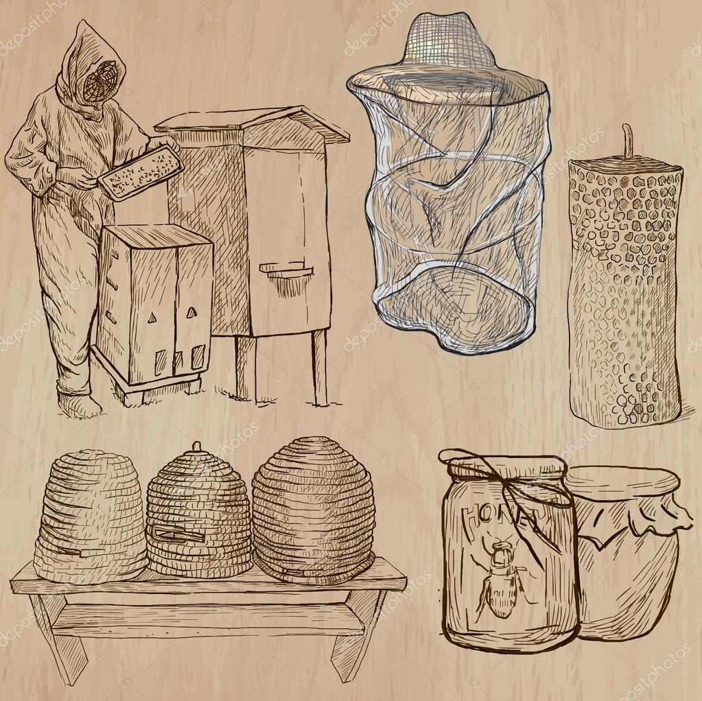 Bees, beekeeping and honey - hand drawn vector pack 4 — Stock Vector ...
