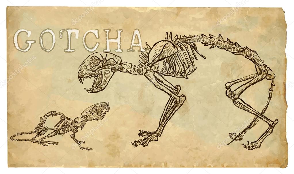 Cat and mouse, skeletons - freehand vector Stock Vector Image by ©kuco ...