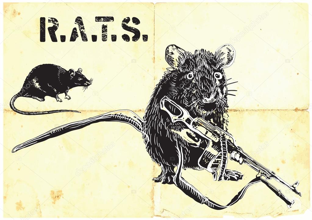 ratas, guerra, pancarta - drawingrats a mano alzada, rata con pistola ...
