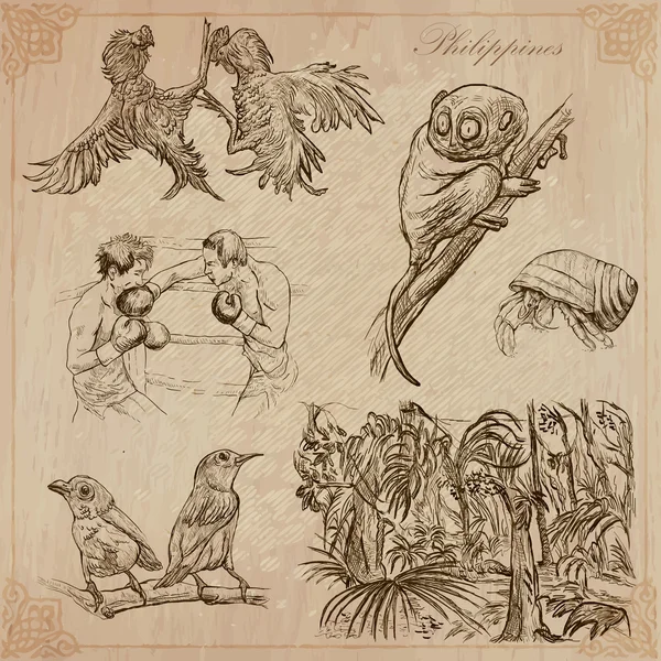 Rice crop. Agriculture. An hand drawn vector set. — Stock Vector © kuco ...