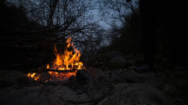 Camp in the open air with fire - Stock Image - Everypixel