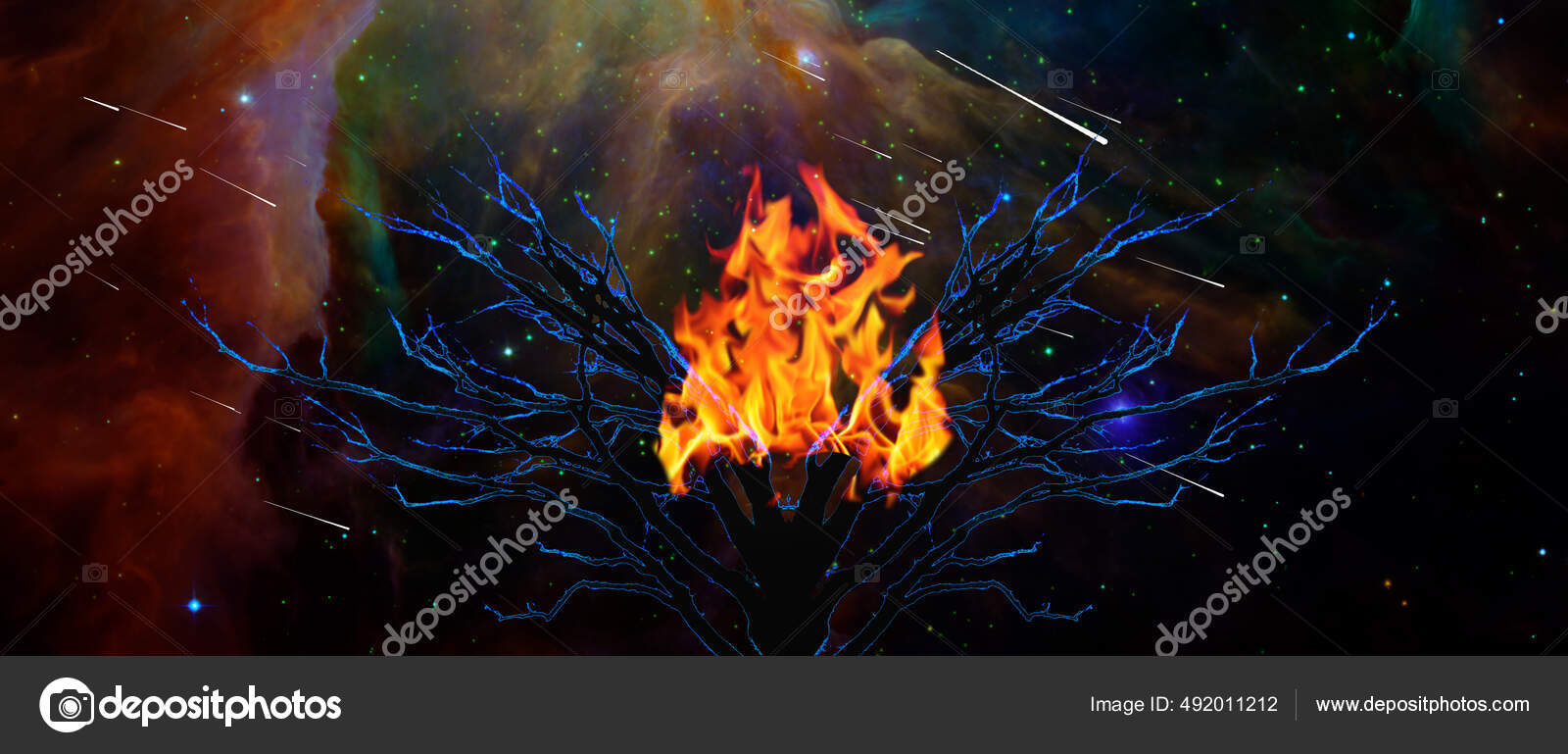 Mystic Tree Life Eternal Fire — Stock Photo © rolffimages #492011212