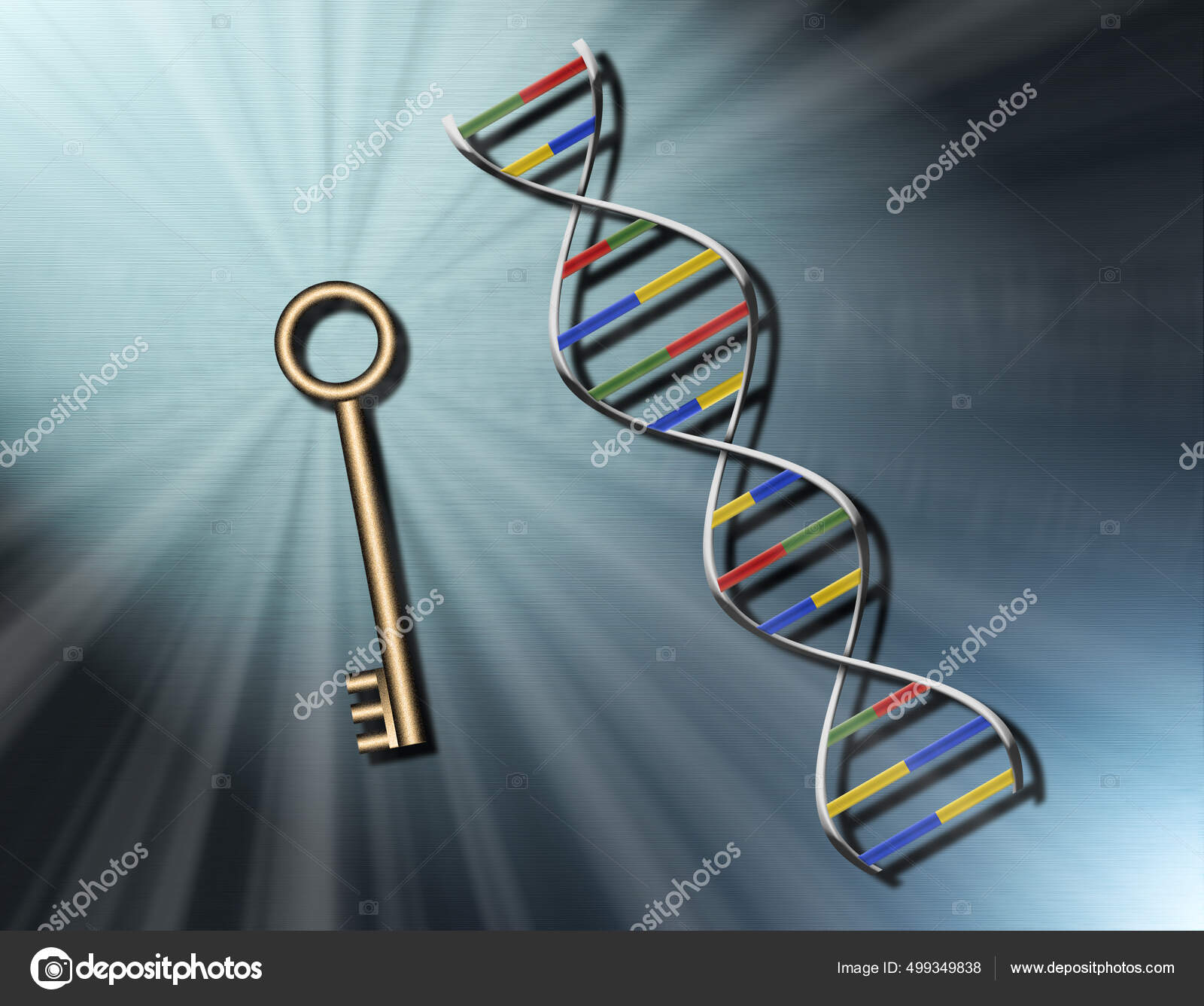 Dna Strand Key Rendering — Stock Photo © rolffimages #499349838