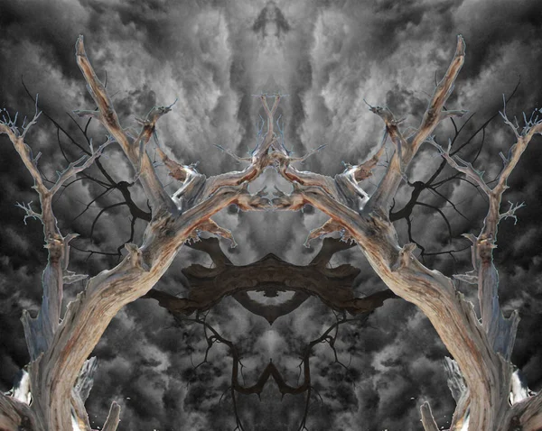 Tree roots abstract Stock Photos, Royalty Free Tree roots abstract ...