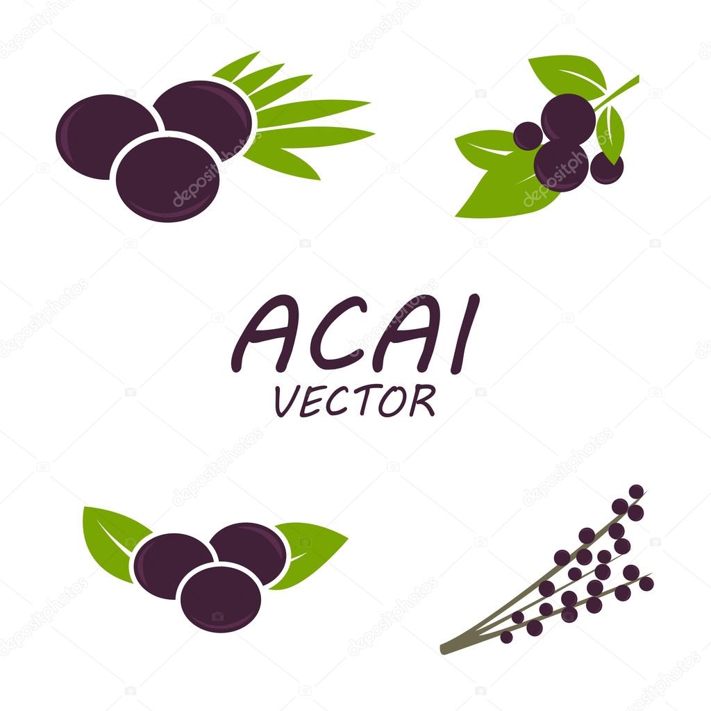 Conjunto de ícones Vector Açaí Stock Vector by ©skarin1 113137258