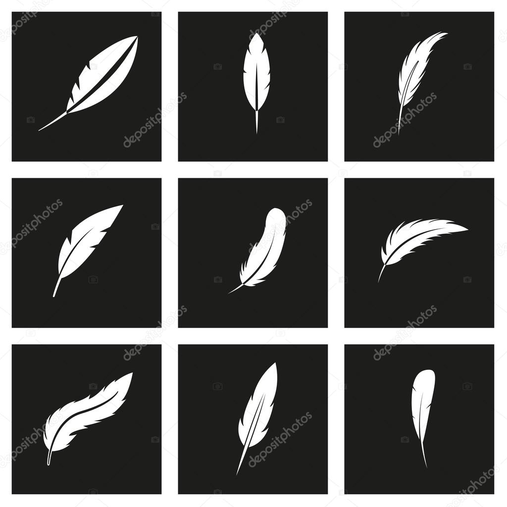Vector black feather icon set Stock Vector by ©skarin1 61765633
