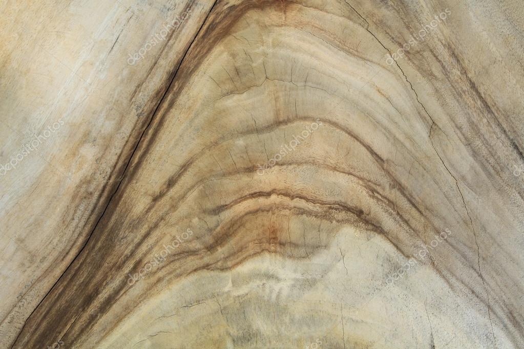 Slice of wood timber texture Stock Photo by ©drpnncpp 116629052