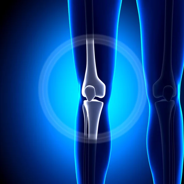 Human joints Stock Photos, Royalty Free Human joints Images | Depositphotos