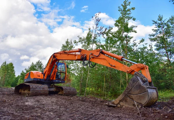Land clearing Stock Photos, Royalty Free Land clearing Images ...