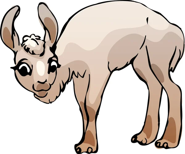 Láma rajz Vector Art Stock Images | Depositphotos