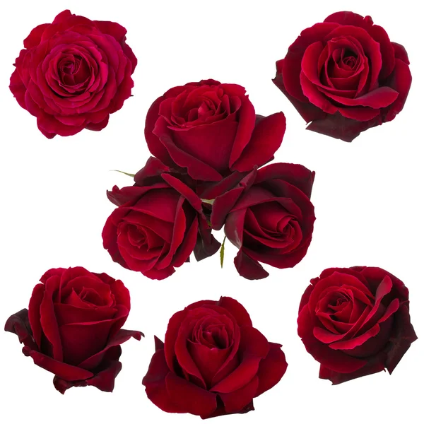 Collage of red roses Stock Photo by ©Likka 120869096