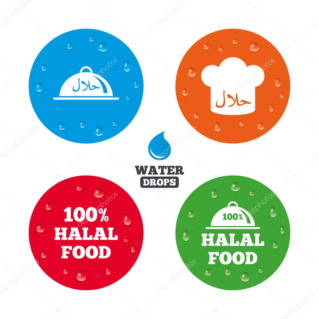 Halal food icons. Stock Vector by ©Blankstock 78756436
