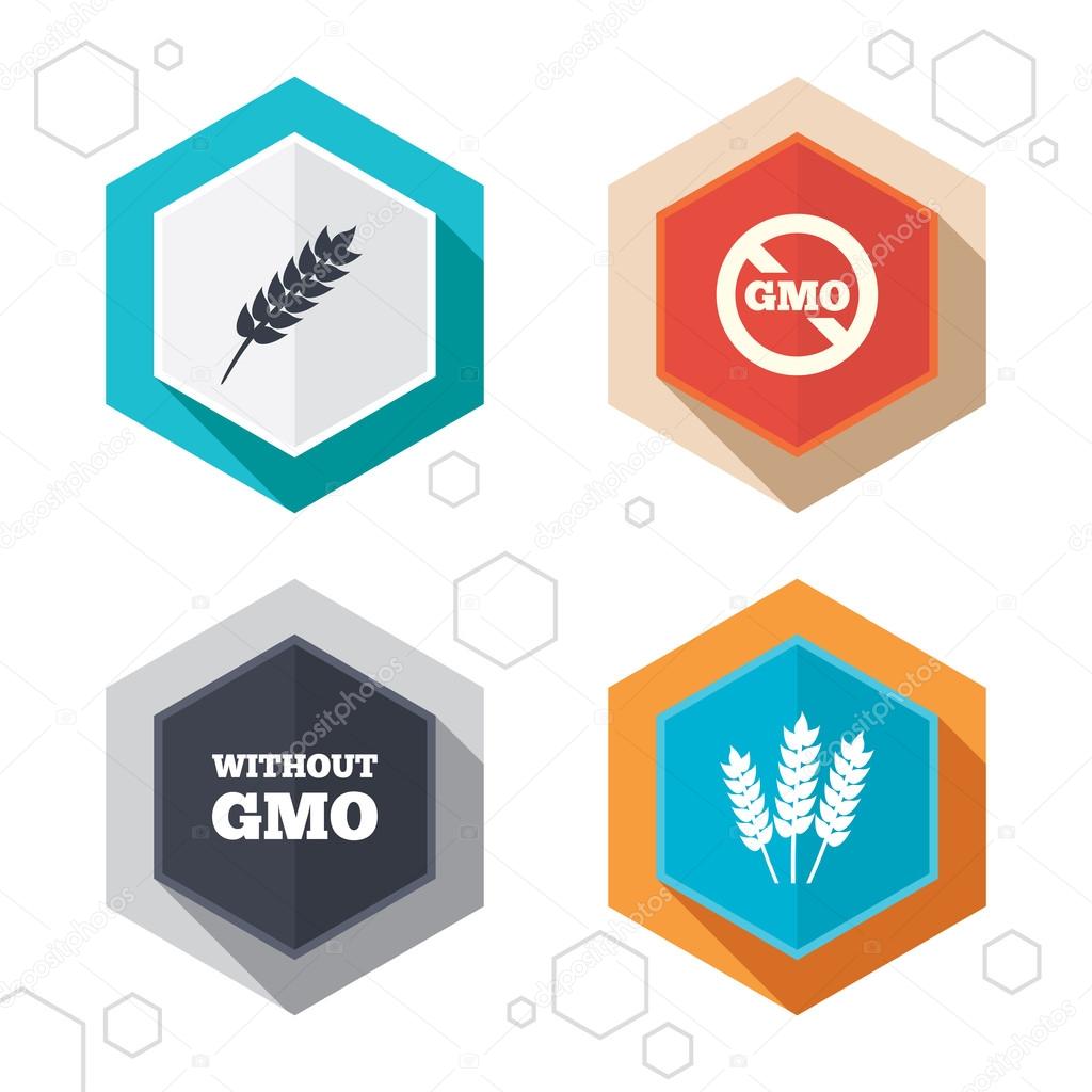 Ícones agrícolas. Símbolos livres de OGM . Vetor de ©Blankstock 83605798