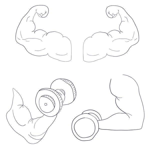 Freehand cartoon strong arm flexing bicep sport — Stock Vector ...