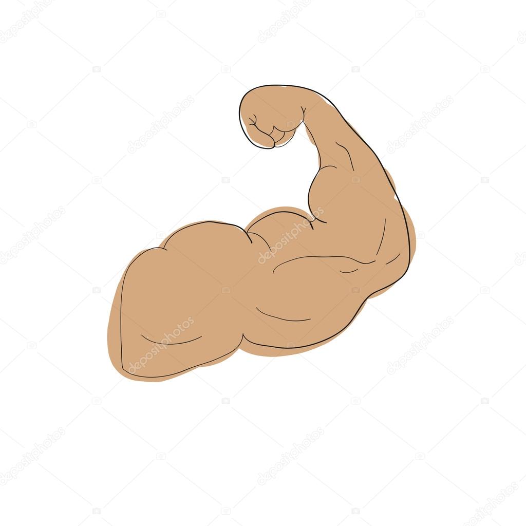 Freehand cartoon strong arm flexing bicep sport — Stock Vector ...