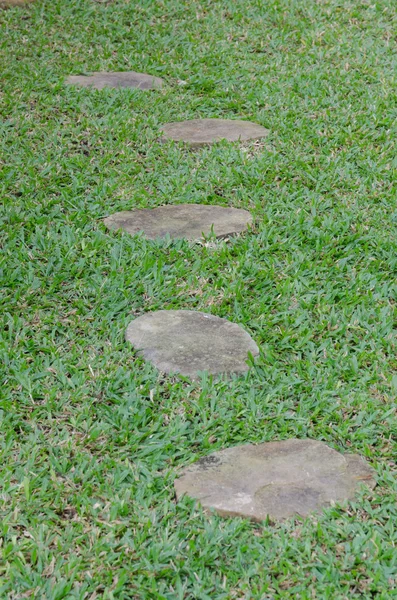 Stone walkway on green grass floor — Stock Photo © aaa187 #115335796