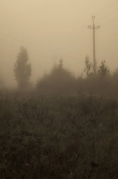 Misty kehoe fotos de stock, imágenes de Misty kehoe sin royalties ...