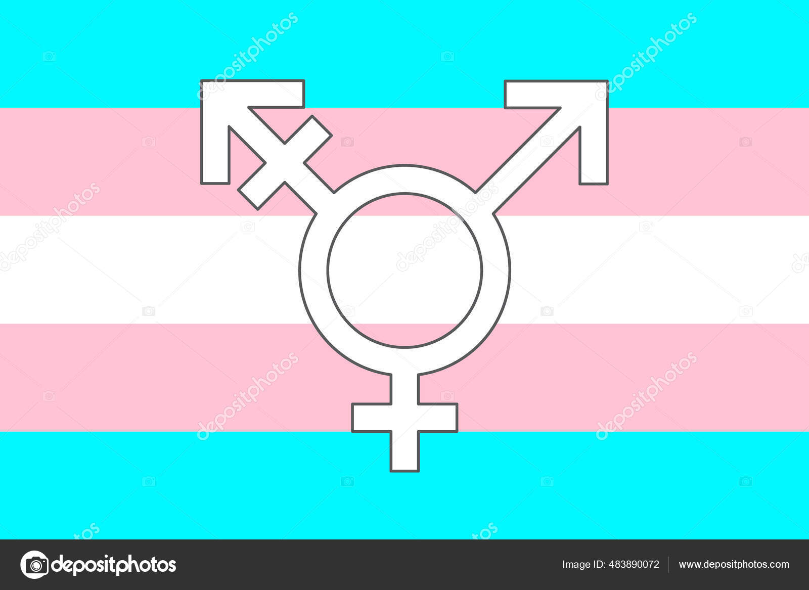 Transgender Symbol Flag