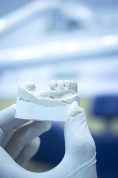 Undershot Stock Photos, Royalty Free Undershot Images | Depositphotos