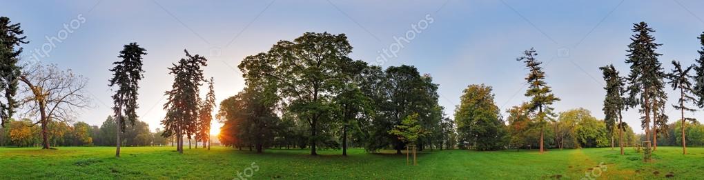 360 view forest Stock Photos, Royalty Free 360 view forest Images ...
