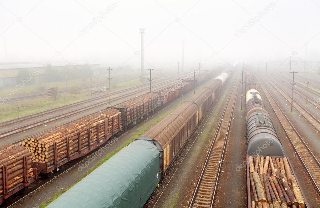 Cargo train platform with container, railway — Stock Photo © TTstudio ...