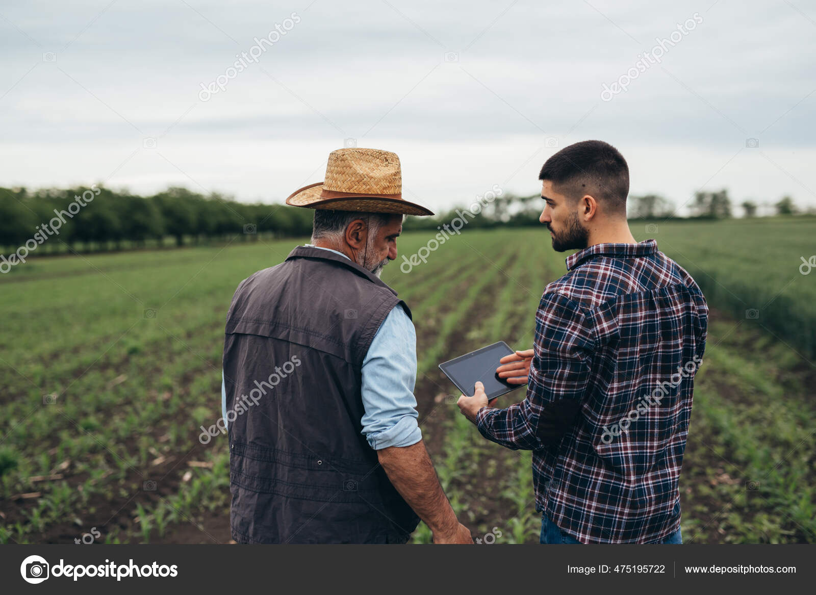 Agricultural Subsidies Workers Talking Corn Field — Stock Photo ...