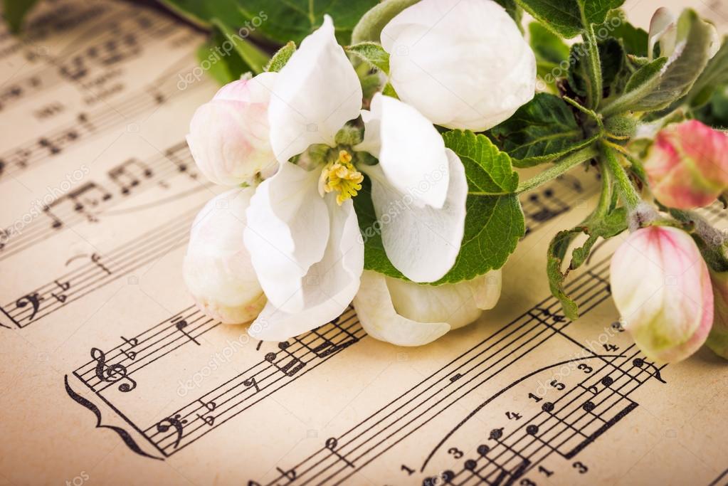 Flower Music Notes Backgrounds
