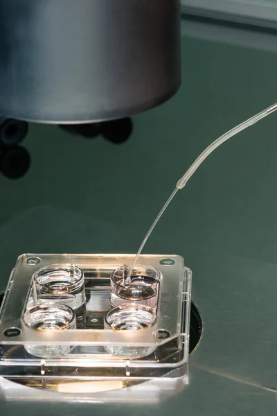 In vitro fertilization process close up. Equipment on laboratory of ...