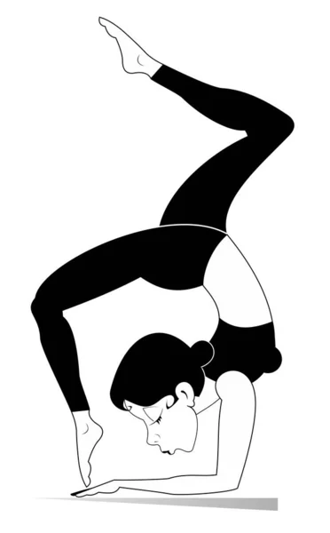 Young Woman Lithe Figure Doing Sport Yoga Exercises Illustration Young ...