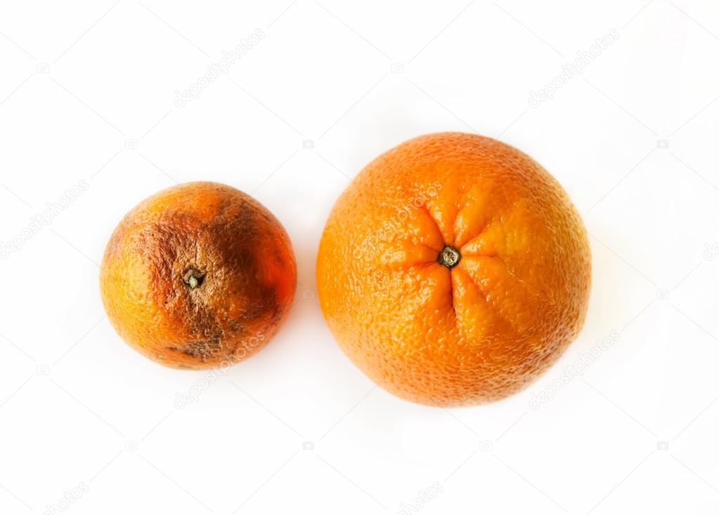 Two oranges - beautiful ripe and ugly rotten — Stock Photo © Kosobu ...
