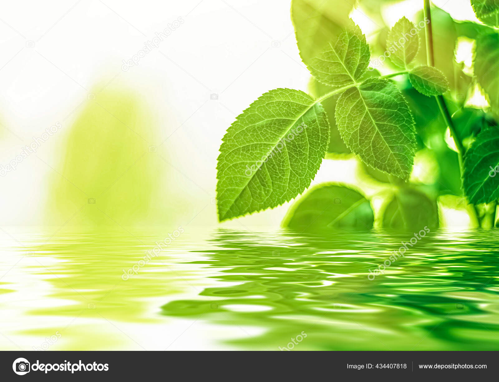 Spring Water Diagram Wallpapers Gallery