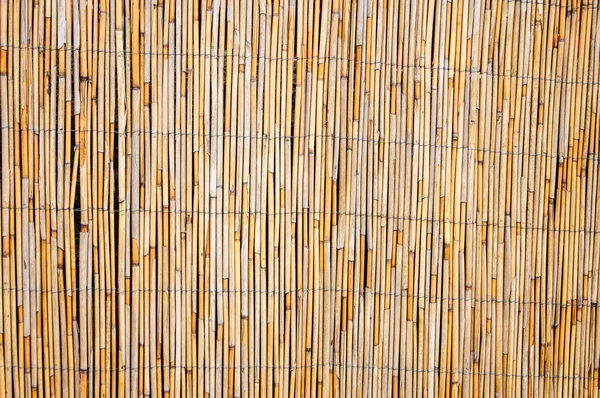 Cane roof texture — Stock Photo © stevanovicigor #19003631