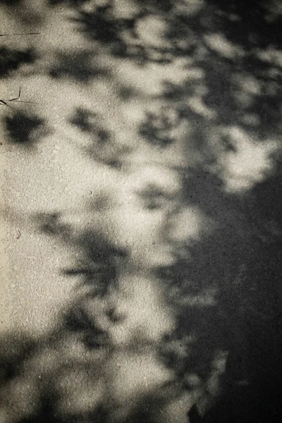 Agfa filter images libres de droit, photos de Agfa filter | Depositphotos