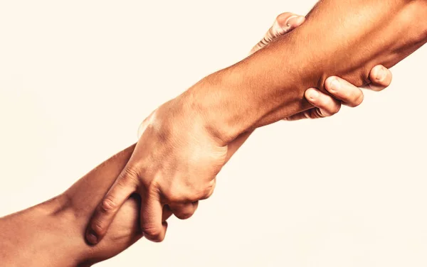 Helping hand Images - Search Images on Everypixel