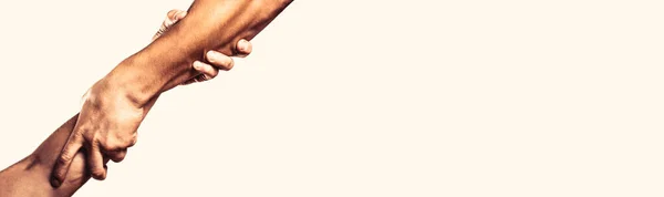 Helping hand Images - Search Images on Everypixel