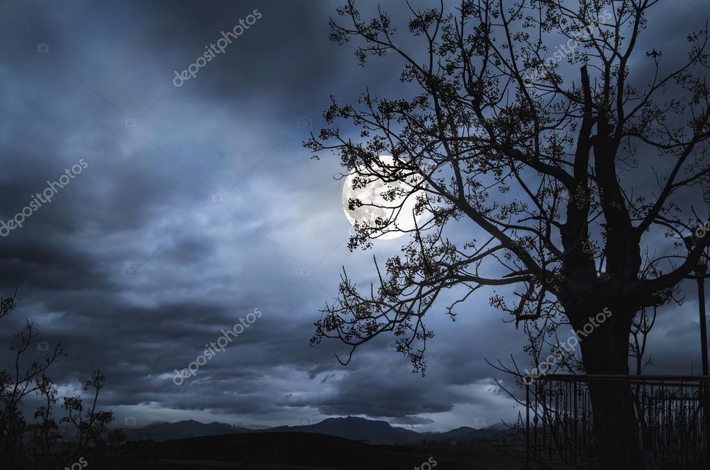 Dark night with tree, full moon Stock Photo by ©sonerbakir 66878427