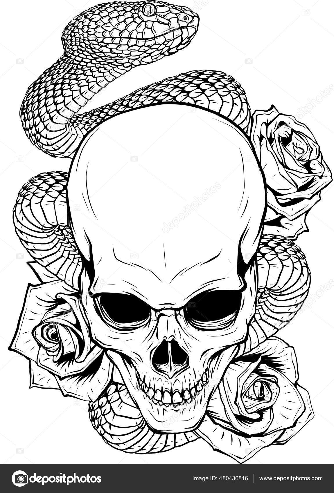 Vector illustration of skull, roses and snake Stock Vector by ...